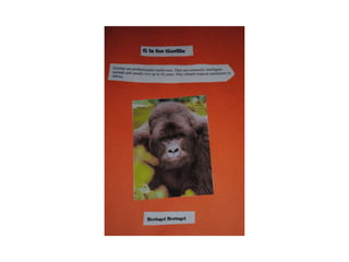 ABC book of Africa | PPSX