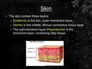 Presentation 3 | PPTX | Skin and Dermatology | Diseases and Conditions