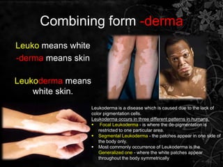 Presentation 3 | PPTX | Skin and Dermatology | Diseases and Conditions