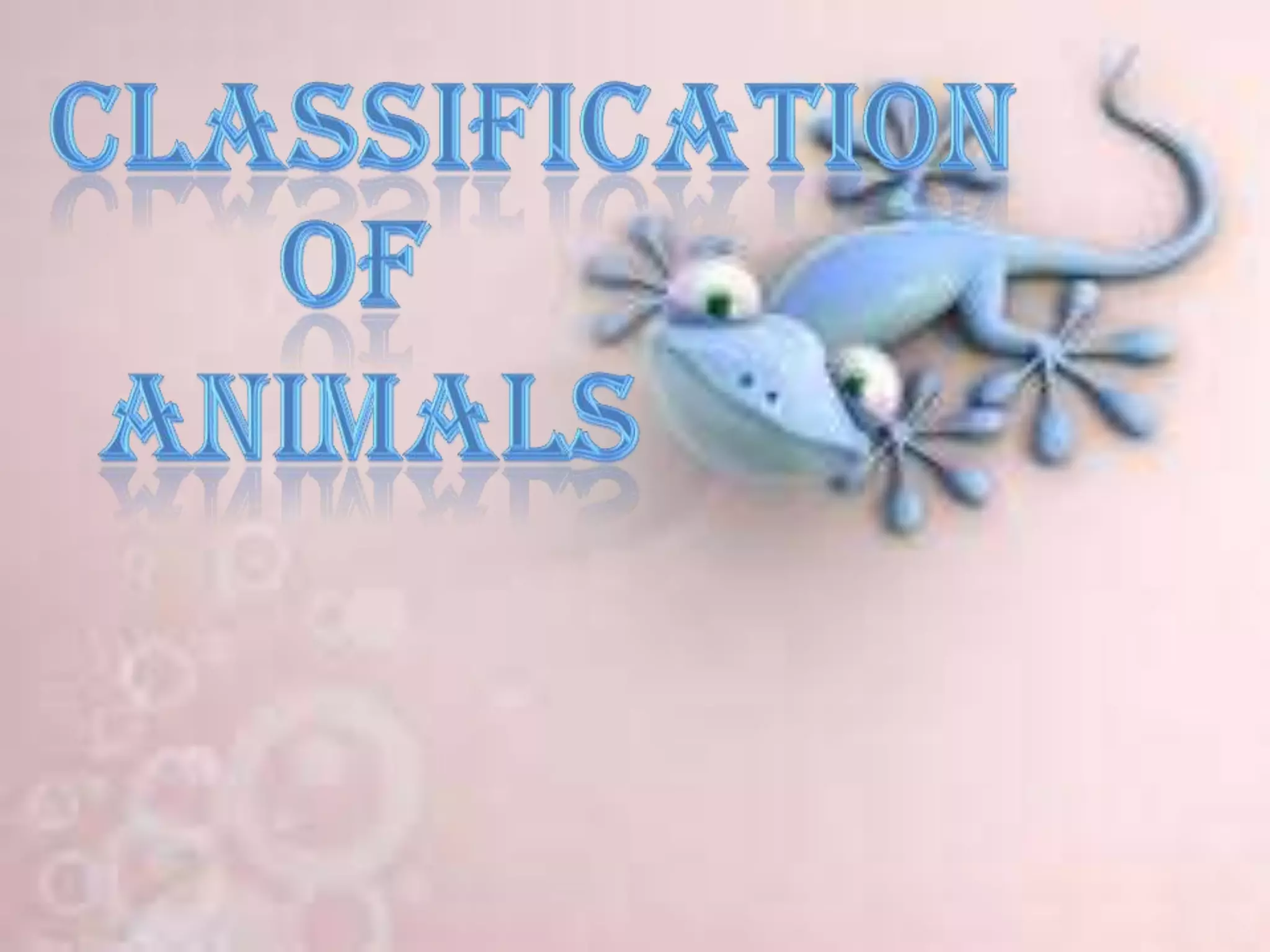 animal classification | PPT