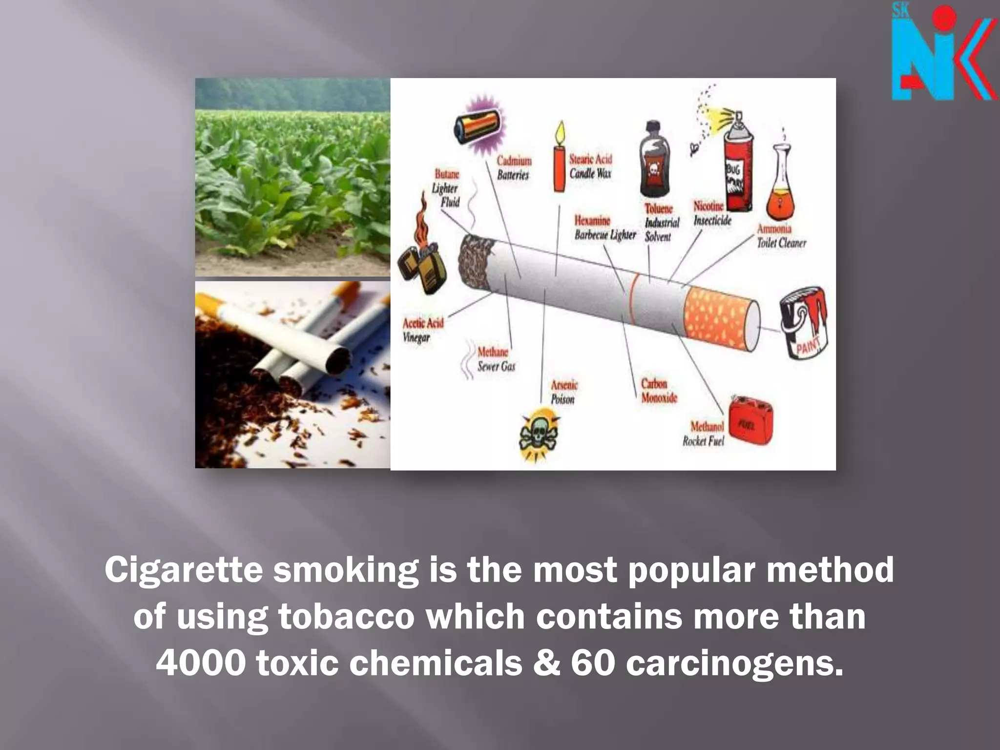 Tobacco & its effect | PPSX