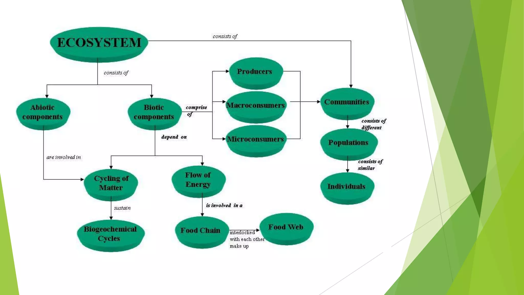 Presentation3 | PPTX
