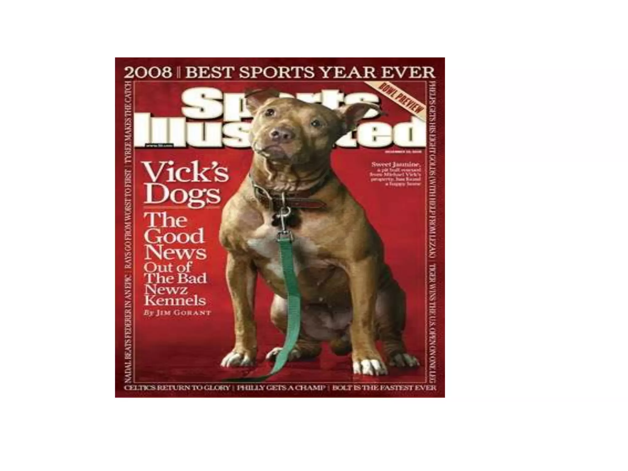 Animal magazine cover | PPTX