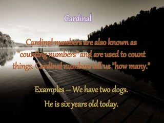 DETERMINERS CLASS 10th | PPTX