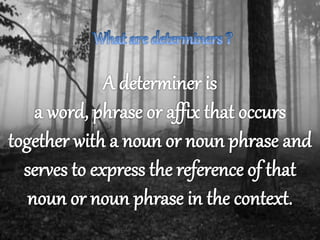 DETERMINERS CLASS 10th | PPTX
