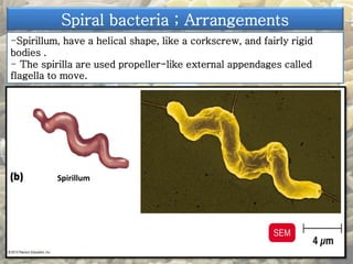 Presentation 3 | PPT