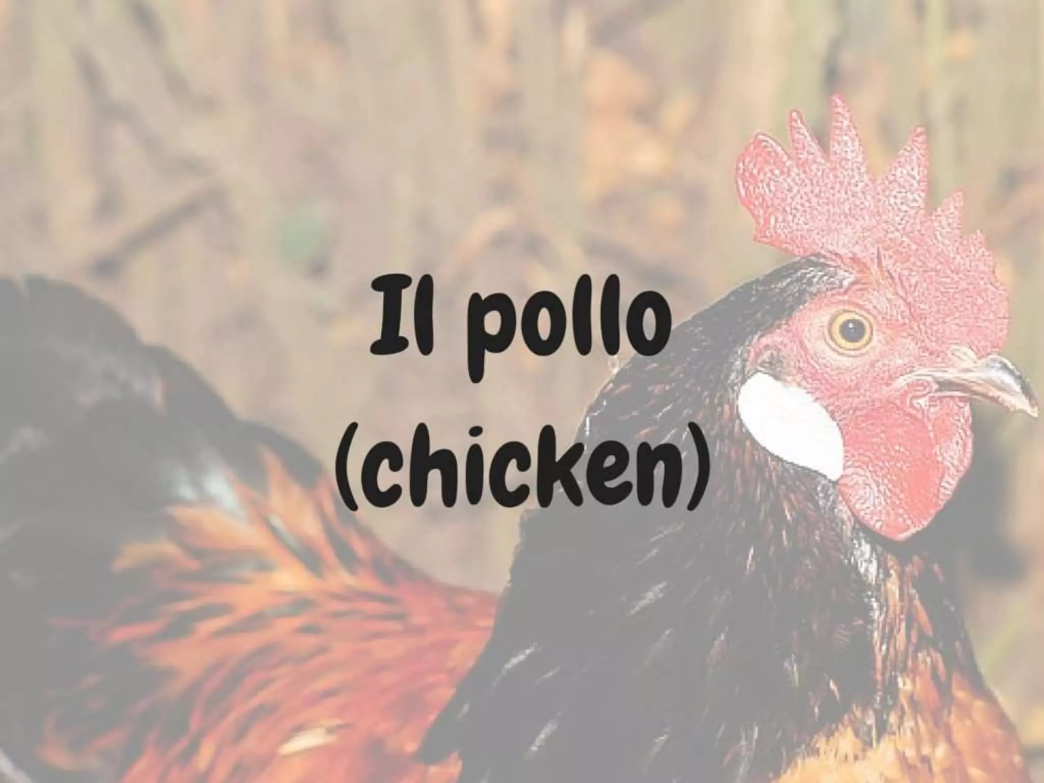 Italian Vocabulary Words: Farm Animals | PPT