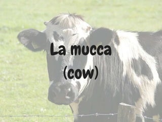 Italian Vocabulary Words: Farm Animals | PPT