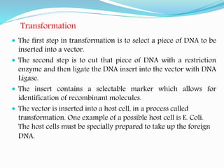 principle and applications of recombinant DNA technology | PPTX