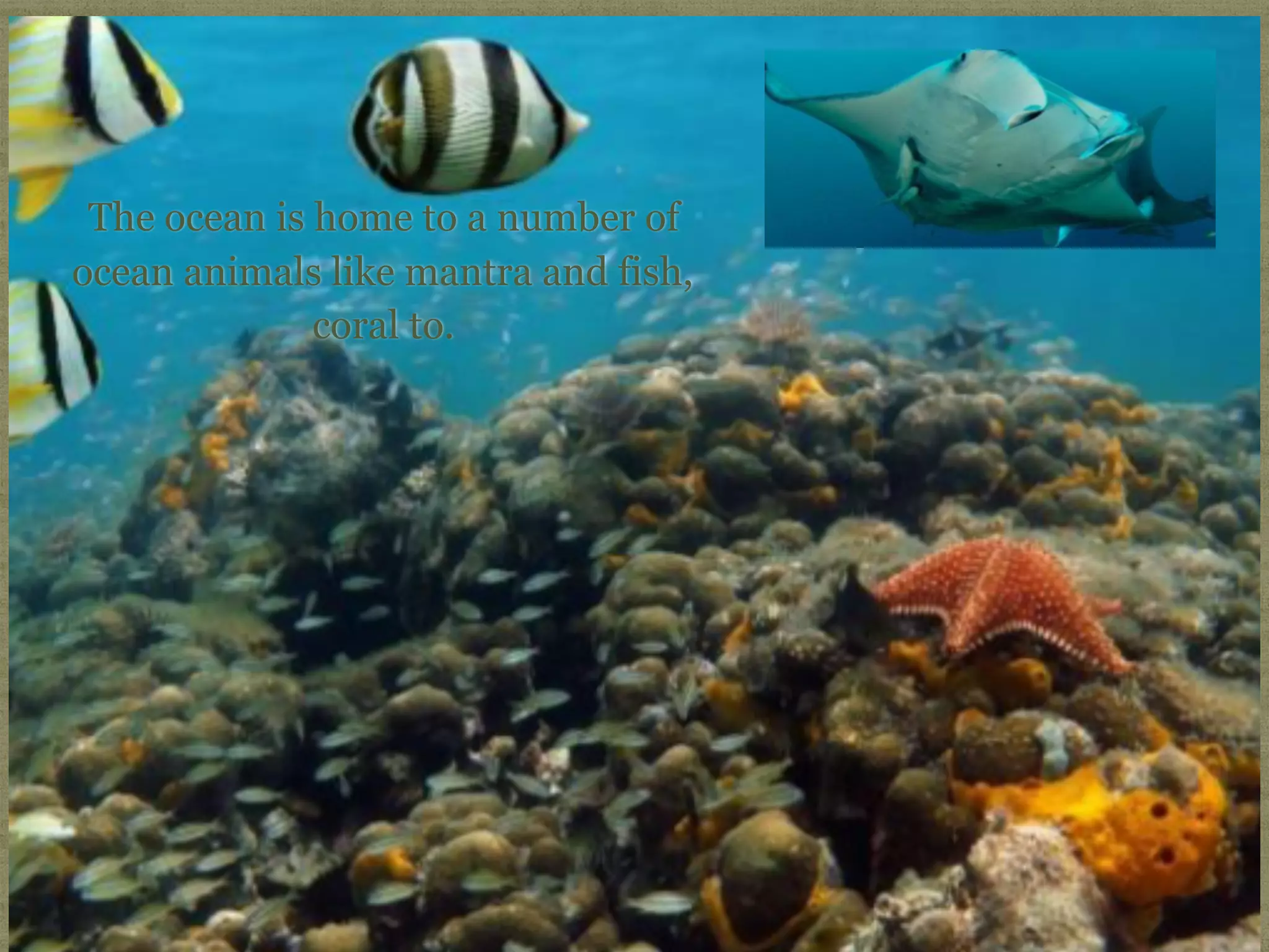 Clean or Dirty Oceans by Charlie | PDF