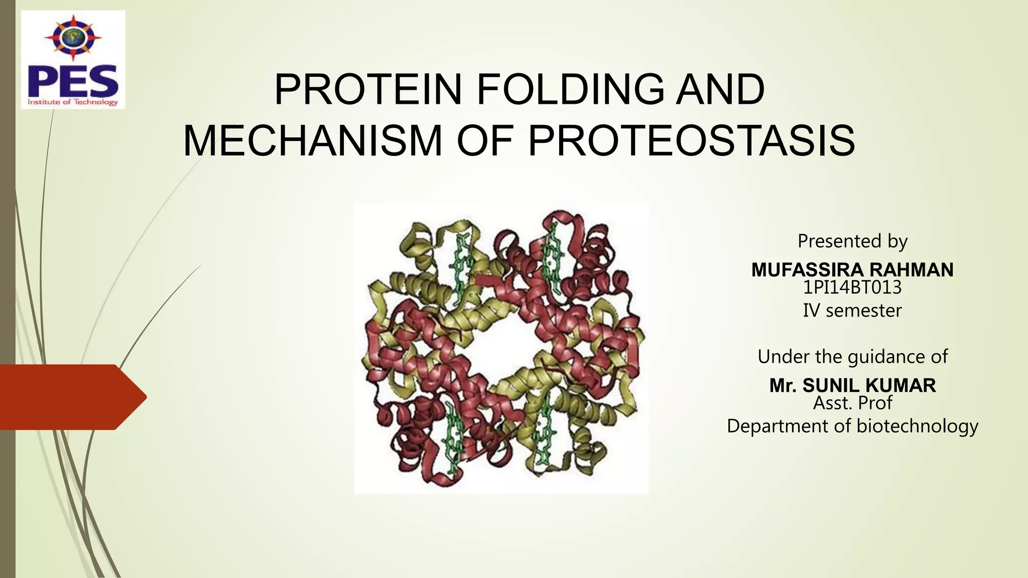 Protein folding and proteostasis | PPTX