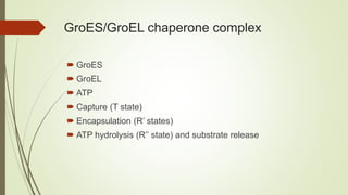 Protein folding and proteostasis | PPTX