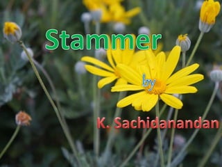 STAMMER | PPTX