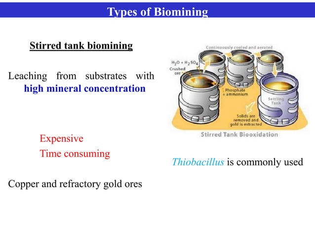 Biomining | PPTX | Chemistry | Science