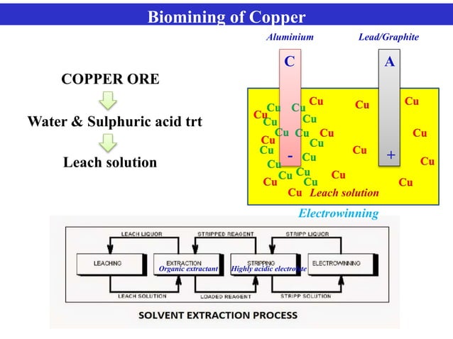 Biomining | PPTX | Chemistry | Science