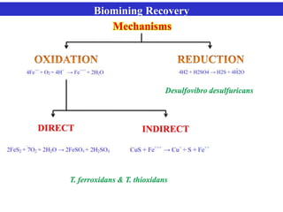 Biomining | PPTX