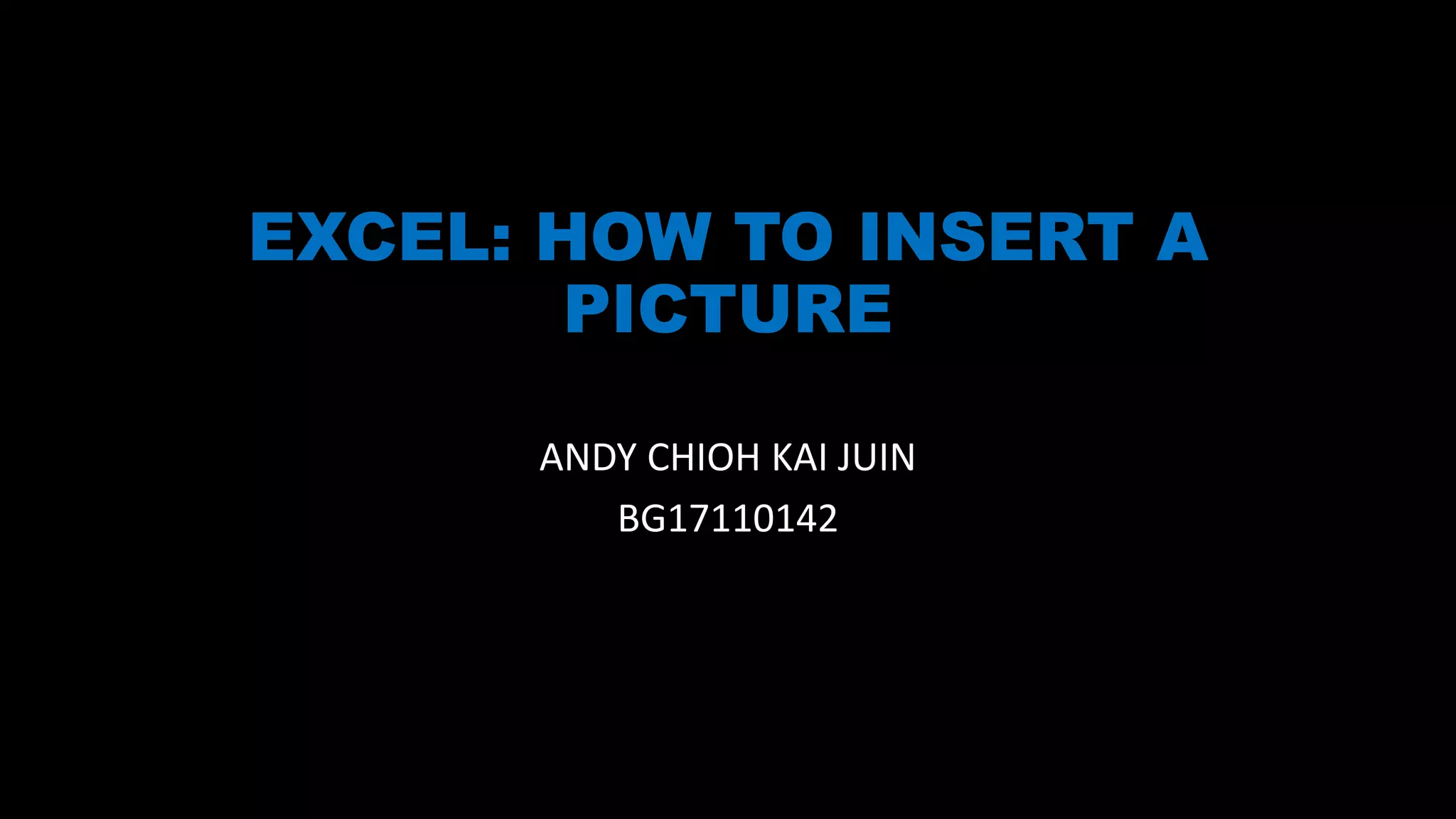 How to insert a picture in excel | PPTX