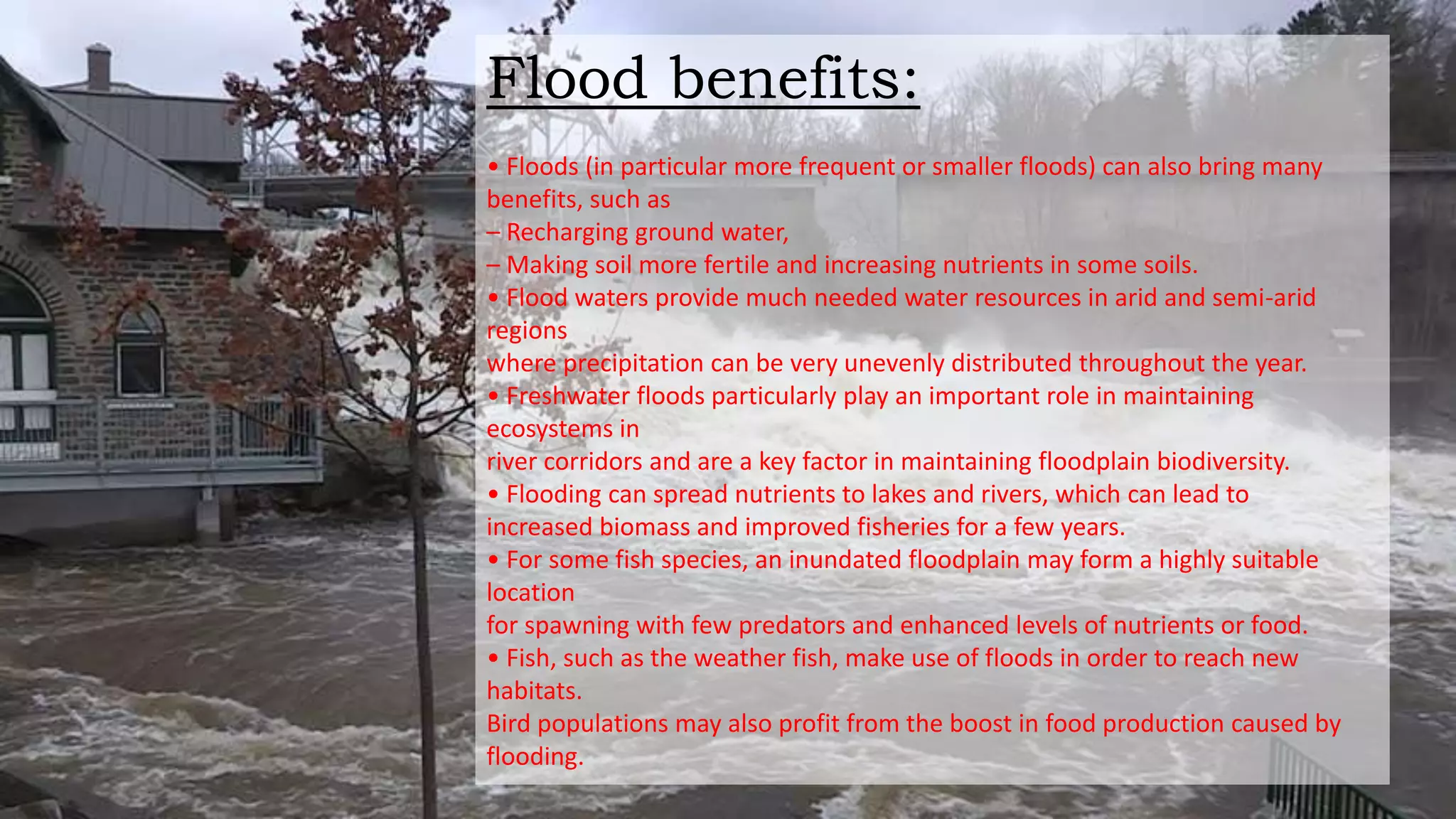 Environment management - Floods | PPTX