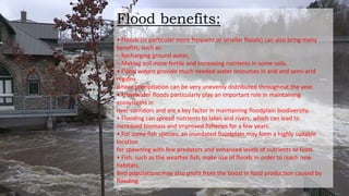 Environment management - Floods | PPTX