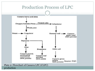 Single cell protein and Leaf protein concentrates as alternative ...