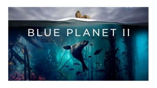 A2 Media Studies Blue Planet 2 | PPTX | Factual | Genres