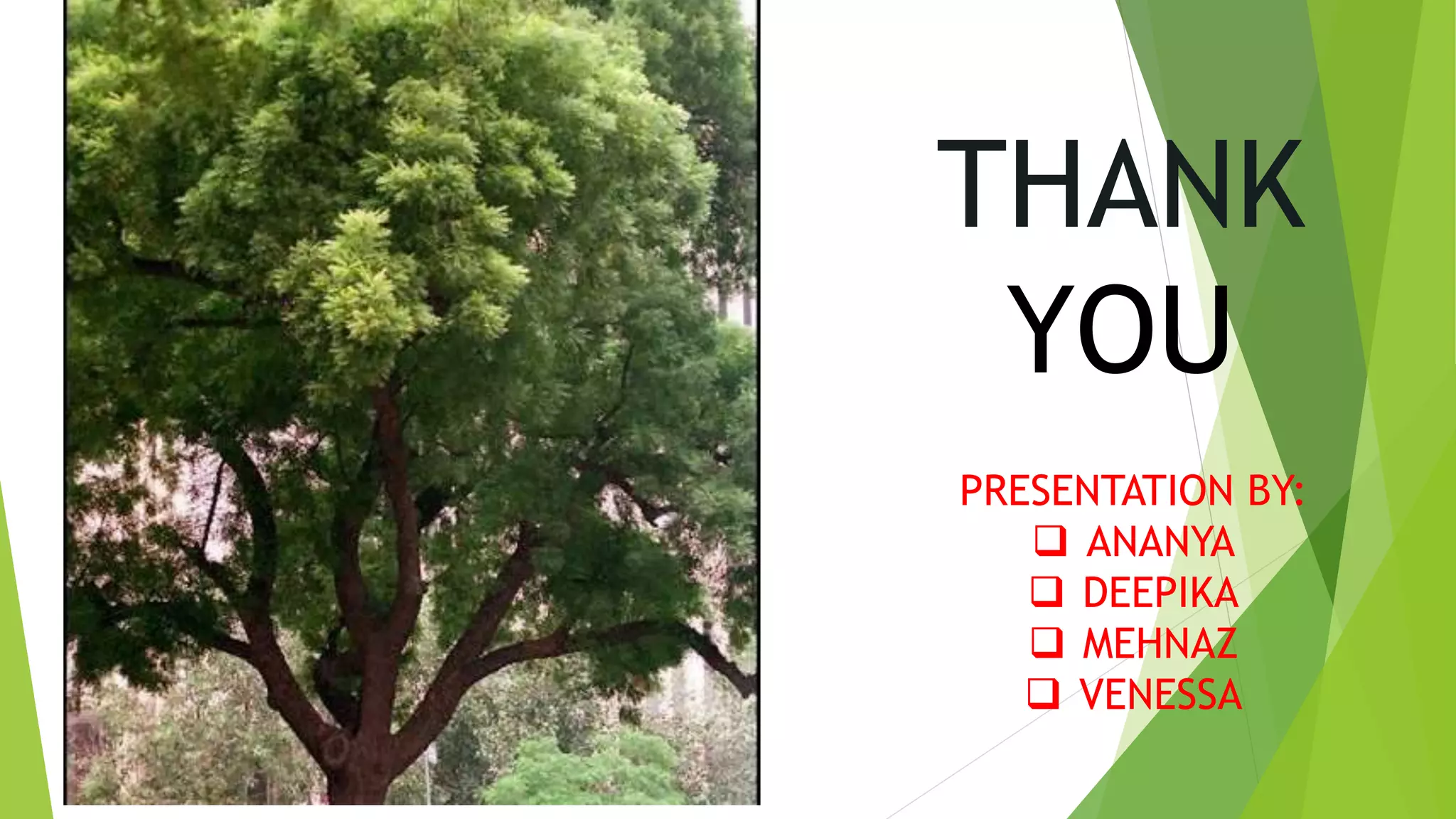 neem tree benefits | PPTX