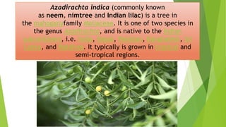 neem tree benefits | PPTX