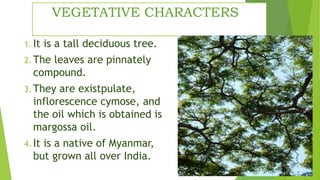 neem tree benefits | PPTX