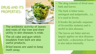 neem tree benefits | PPTX