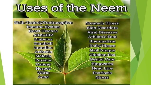neem tree benefits | PPTX