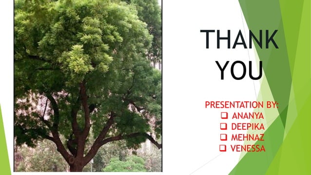 neem tree benefits | PPTX