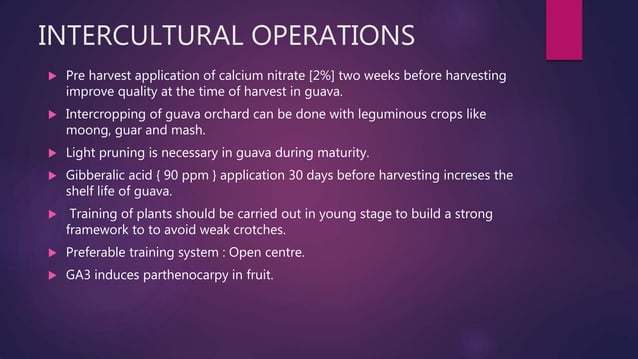 Guava | PPTX | Agriculture | Industries