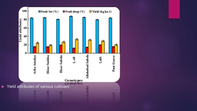 Guava | PPTX | Agriculture | Industries