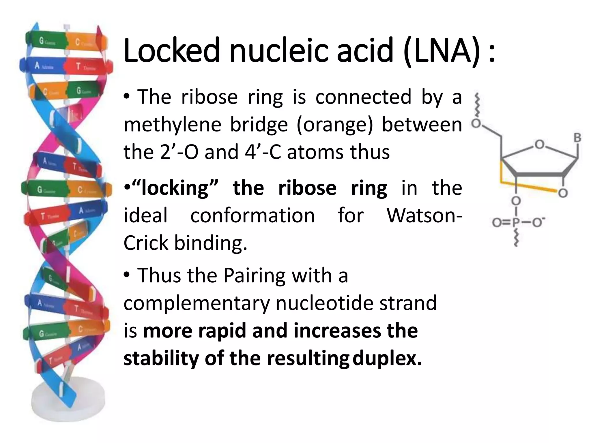 Antisense therapy | PPTX