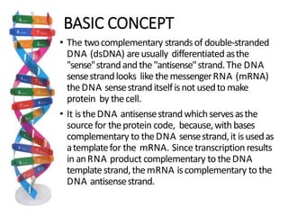 Antisense therapy | PPTX