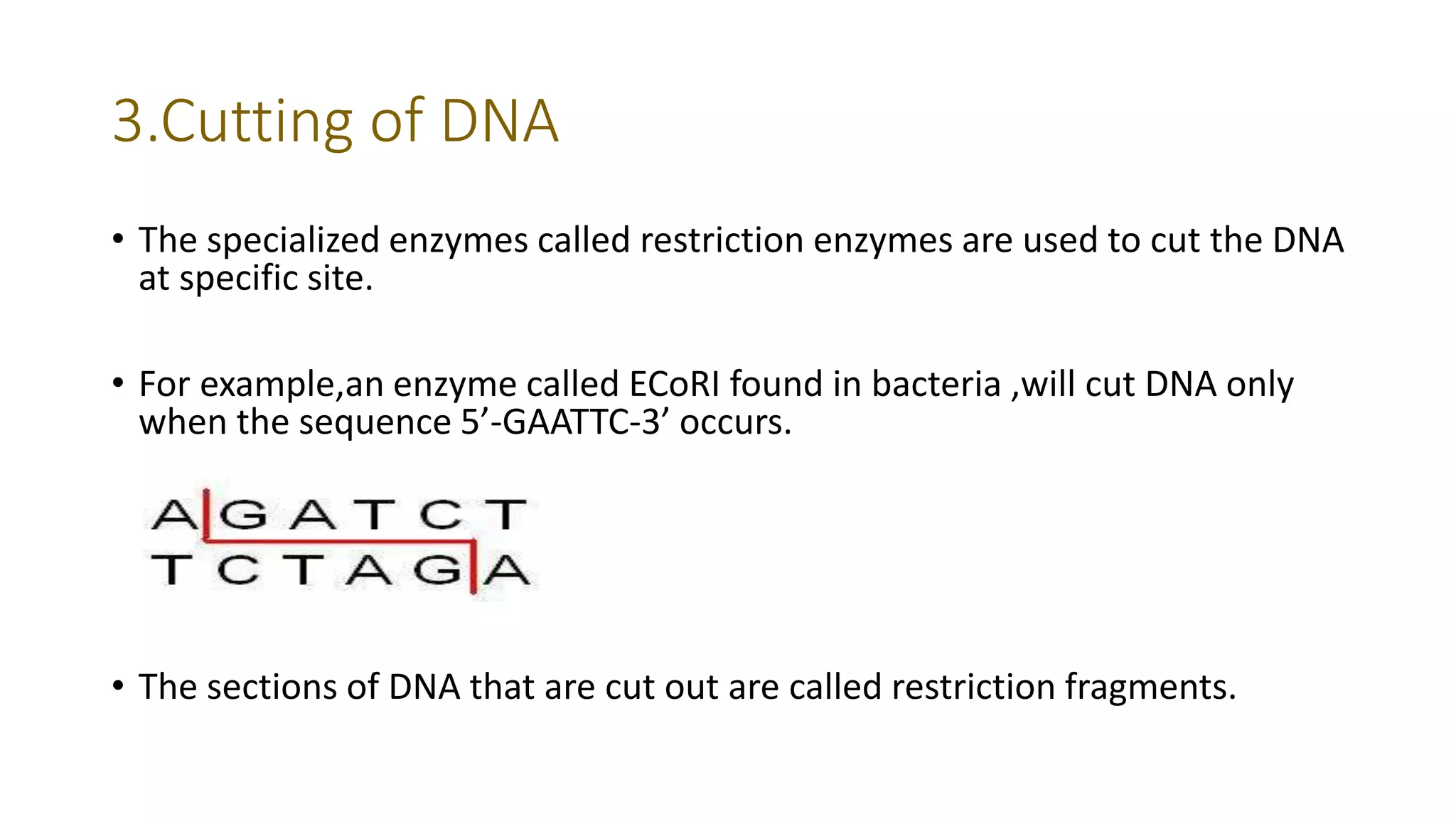 nucleic acid sequencing methods(DNA finger printing,nucleic acid ...