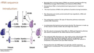 nucleic acid sequencing methods(DNA finger printing,nucleic acid ...