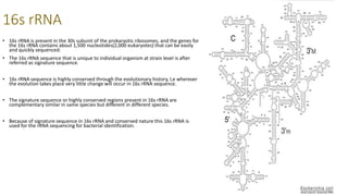 nucleic acid sequencing methods(DNA finger printing,nucleic acid ...