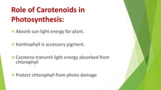 Caroteniods | PPTX