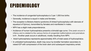 Hydrocephalus | PPT