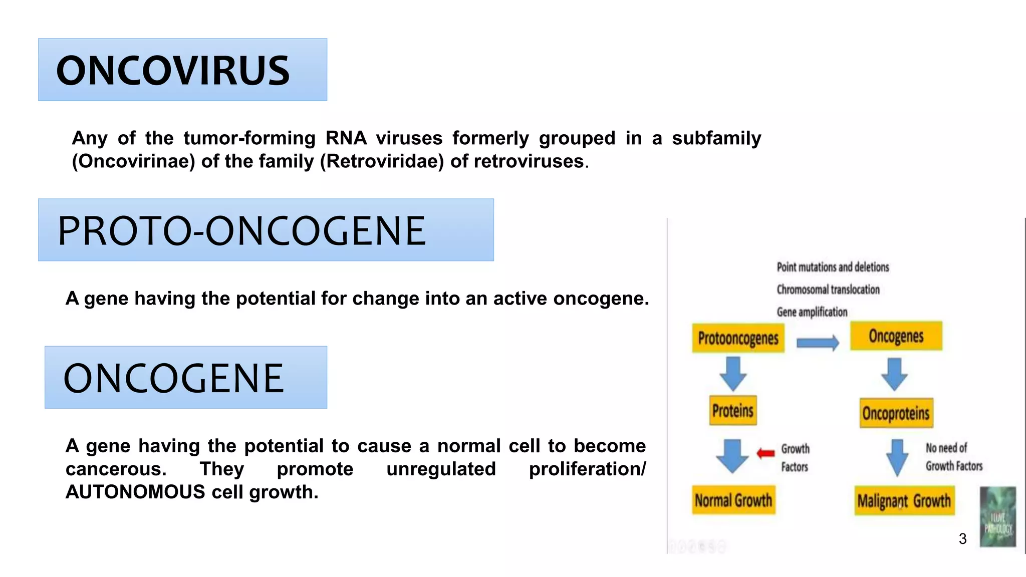 human oncogenic viruses | PPTX | Cancer | Diseases and Conditions