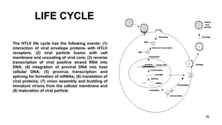 human oncogenic viruses | PPTX | Cancer | Diseases and Conditions