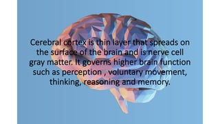 Presentation3 | PDF | Brain and Nervous System Disorders | Diseases and Conditions