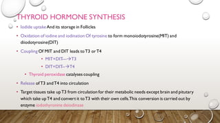 thyroid disorders and treatment | PDF | Thyroid Disorders | Endocrine ...