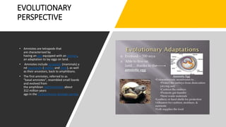 the first amniotes | PPTX