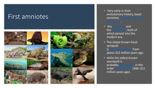 the first amniotes | PPTX