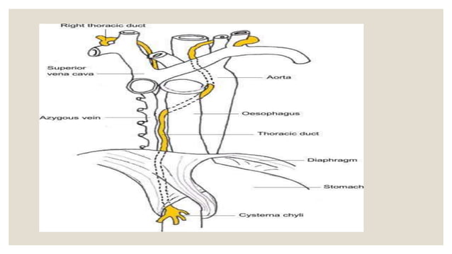 Management of Chyle leakage after head and neck surgery - DIKIOHS DUHS ...