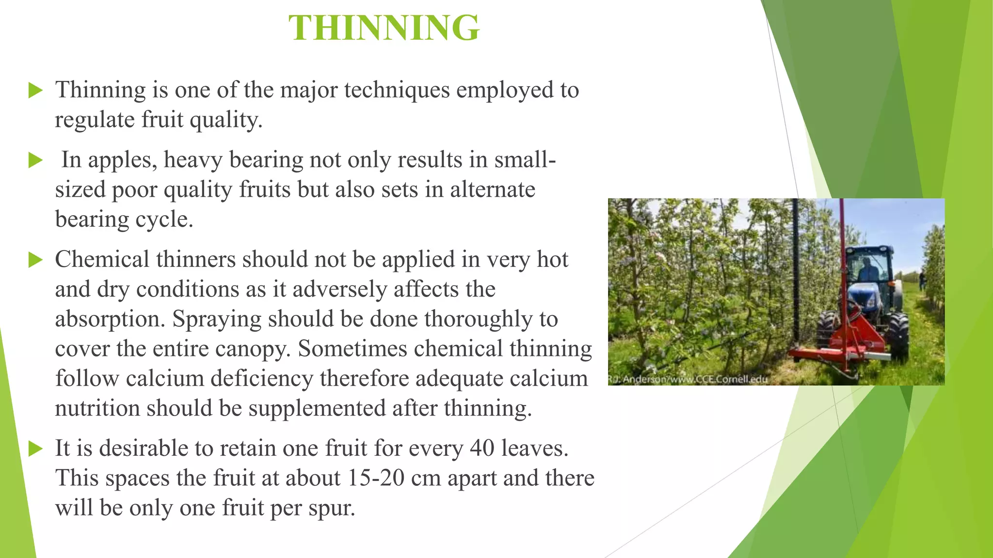 Presentation on apple cultivation practicez | PPTX