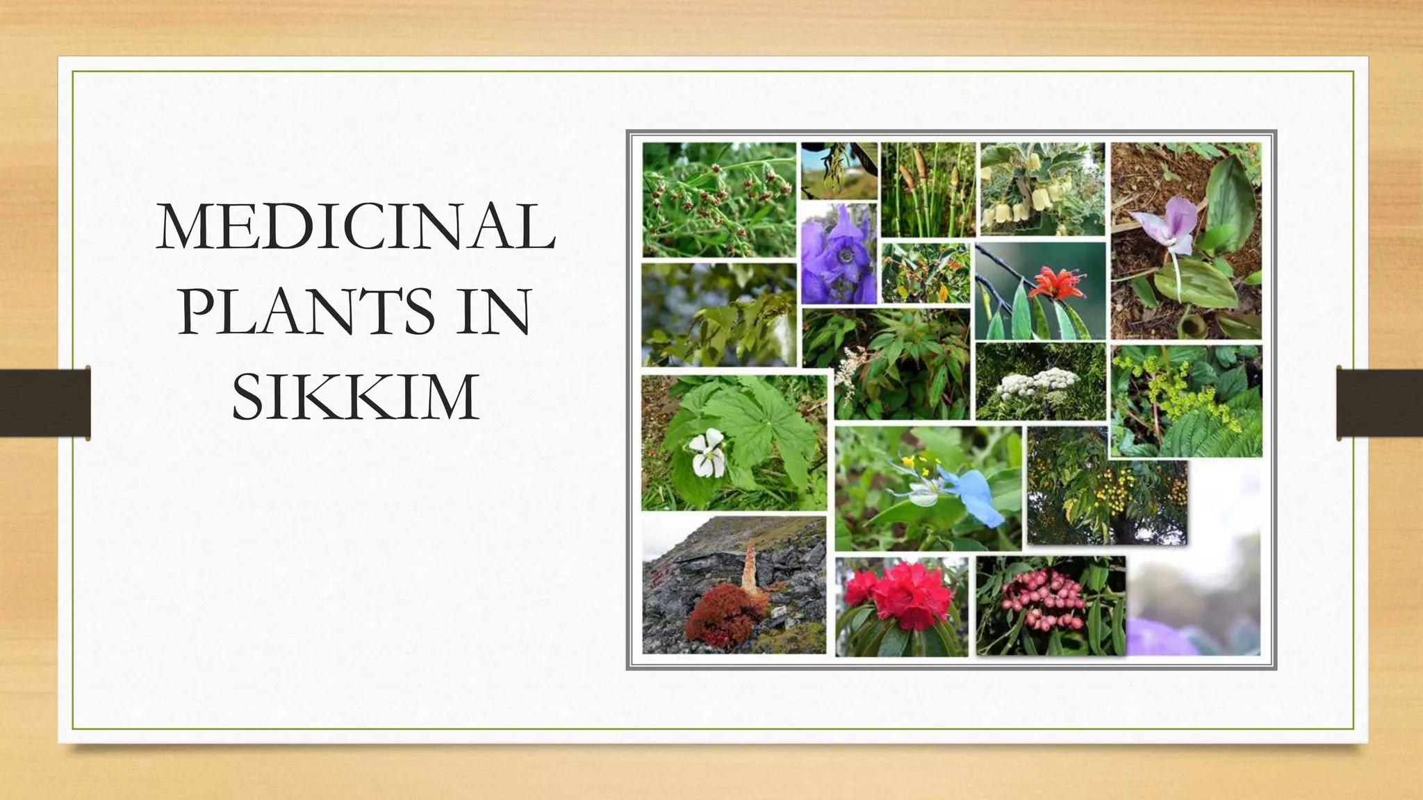 Biodiversity and It's conservation in Sikkim | PPTX