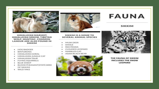Biodiversity and It's conservation in Sikkim | PPTX